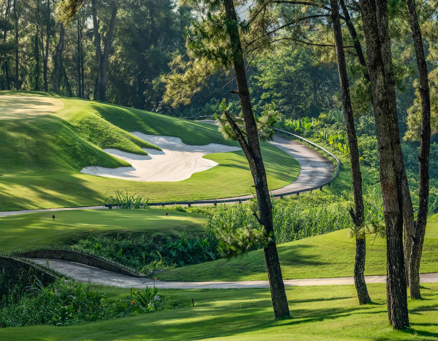 Explore Phoenix Golf Resort: A Premier Golf Course